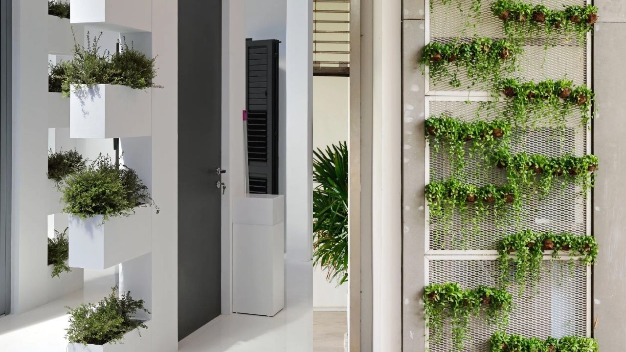 Ide Taman Vertikal dengan Bunga Hias Cantik di Teras Rumah - Info ...