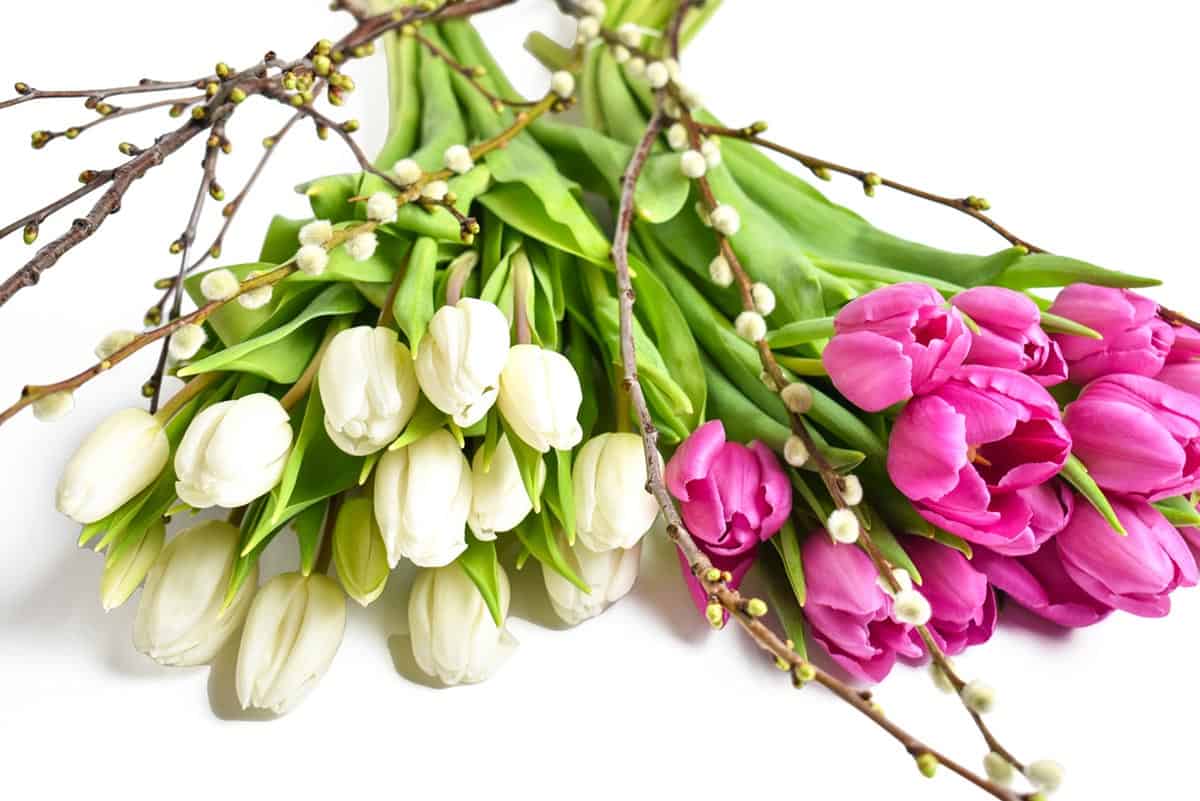 Dekorasi Bunga Tulip: Sentuhan Eropa di Rumah Anda - Info Seputar ...